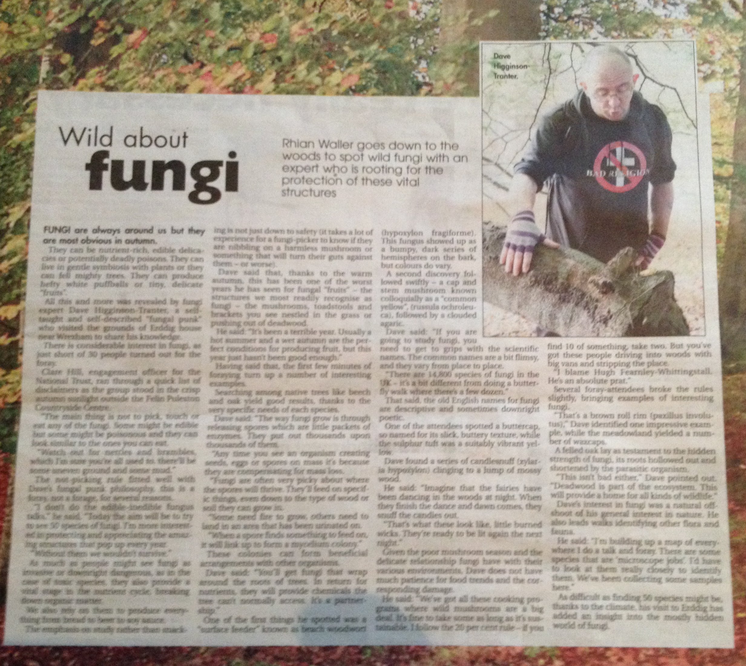 Fungal Friends News