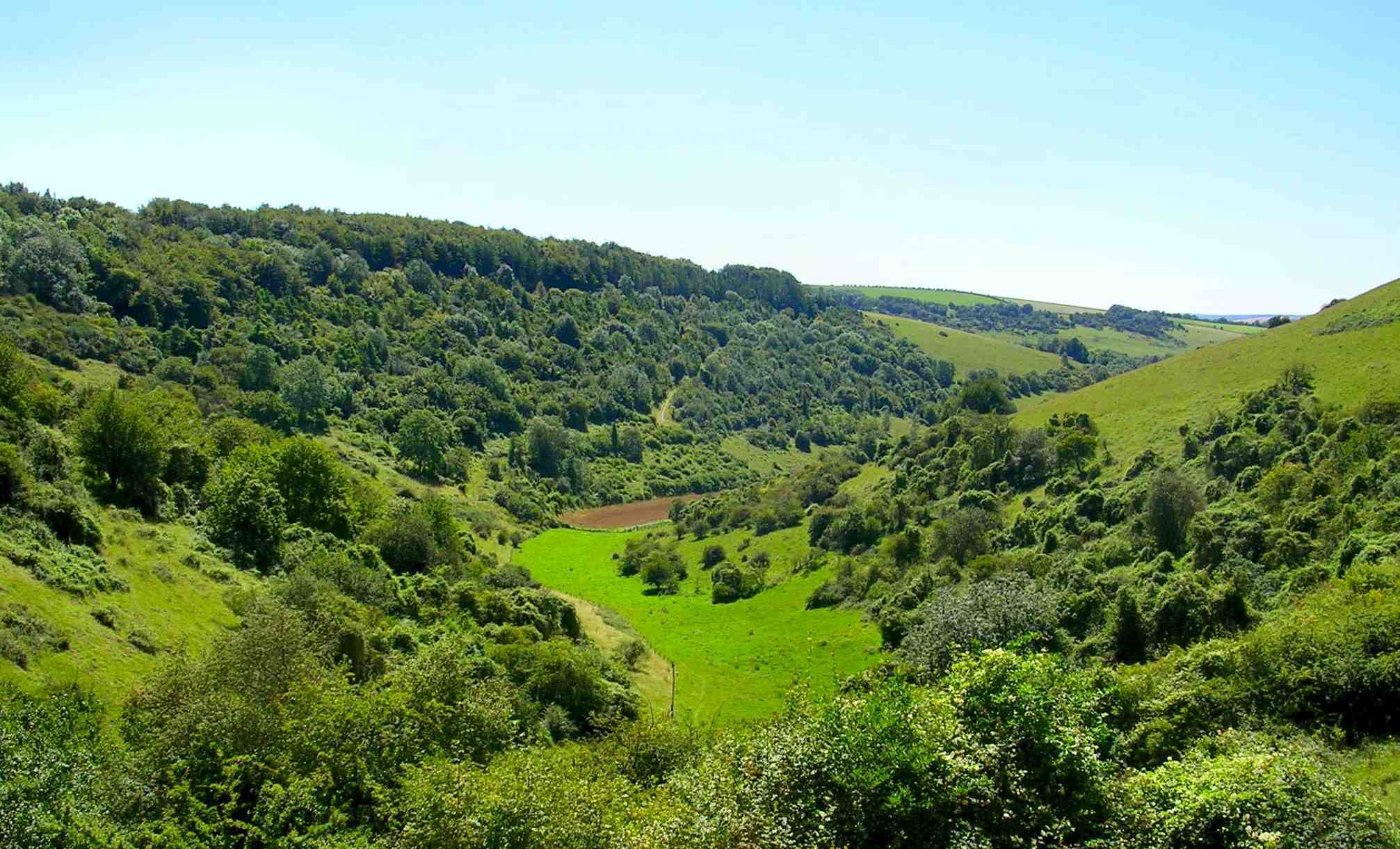 Fontmell Down