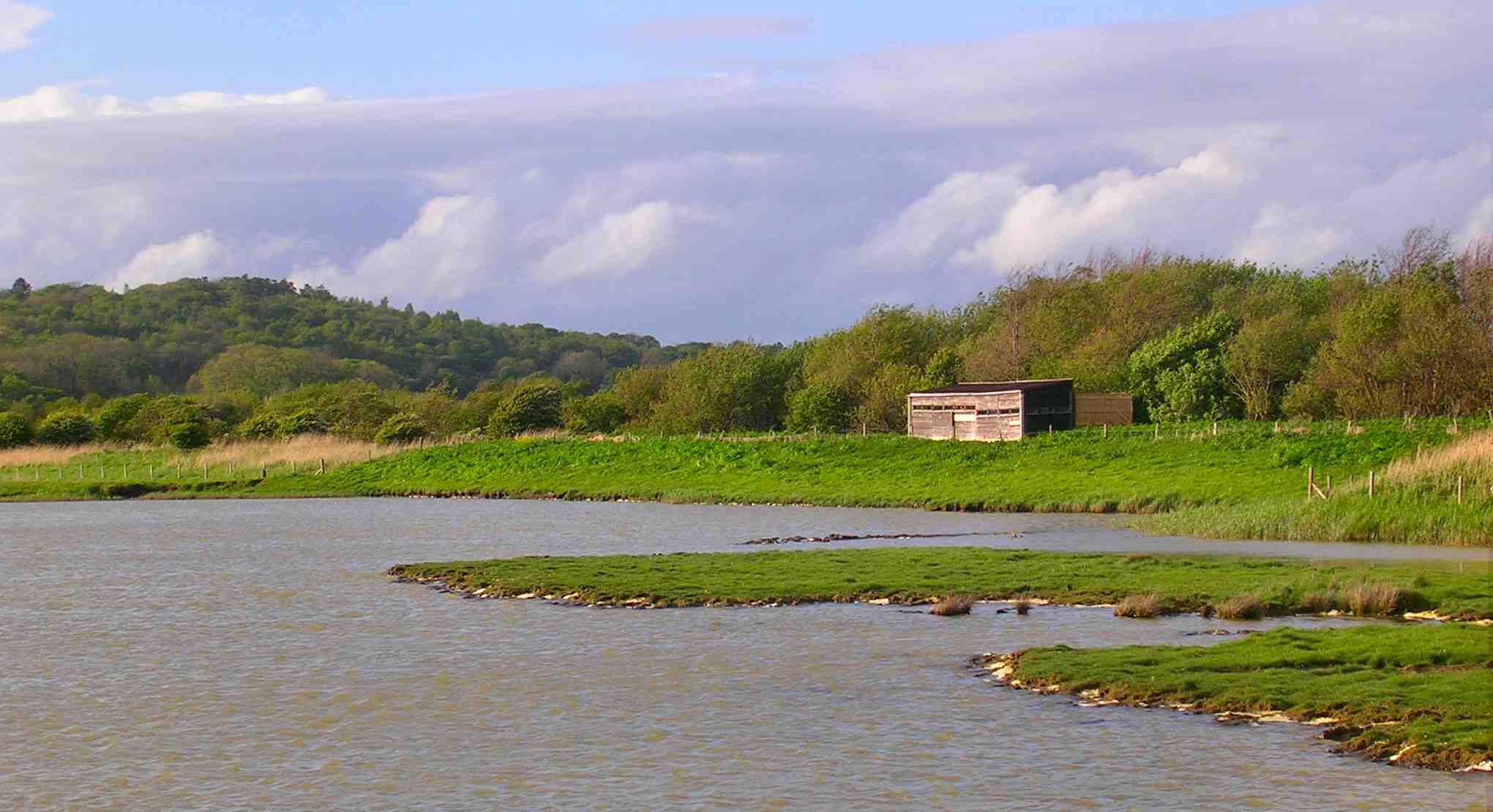 Leighton Moss