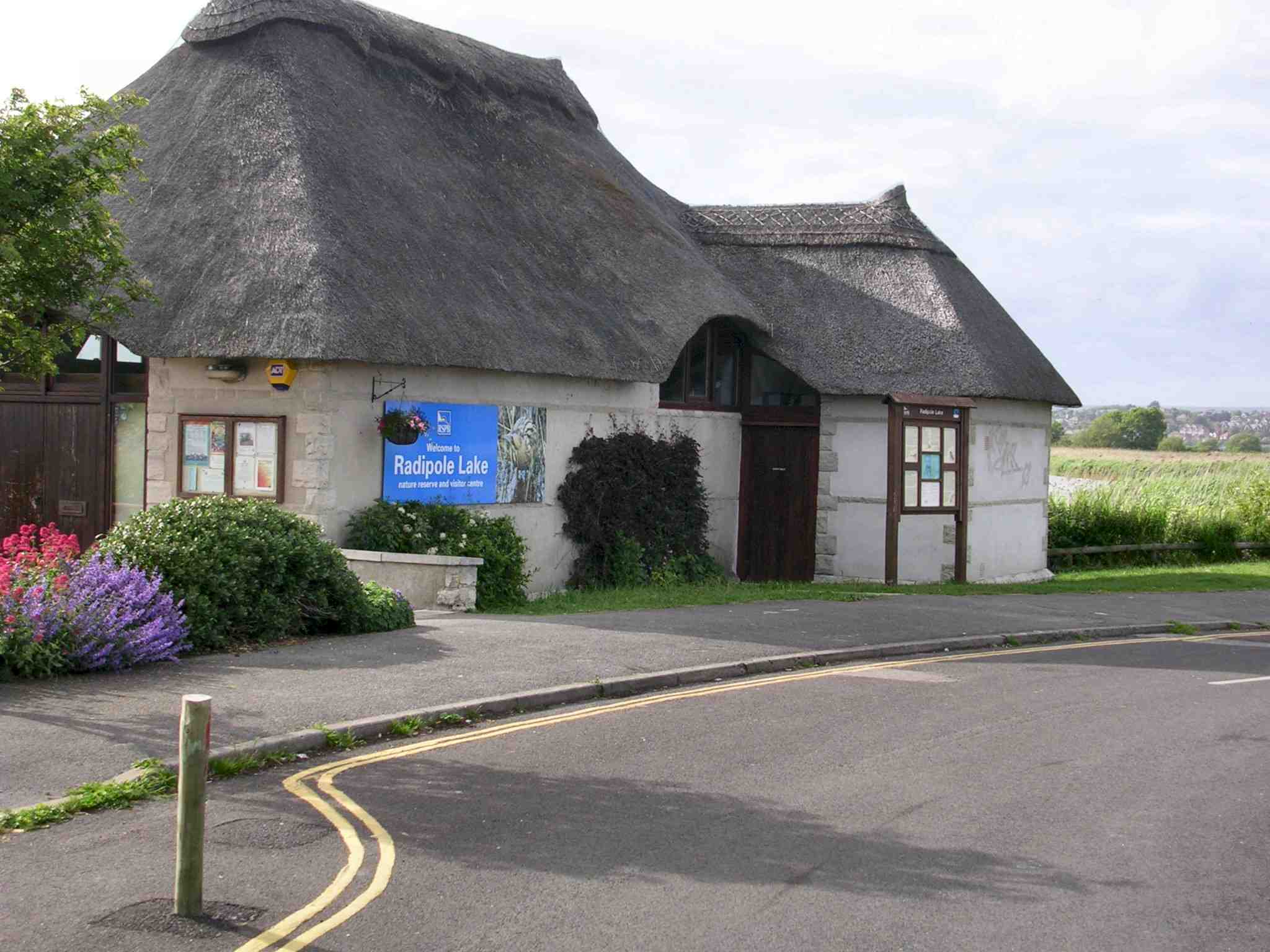 Radipole RSPB