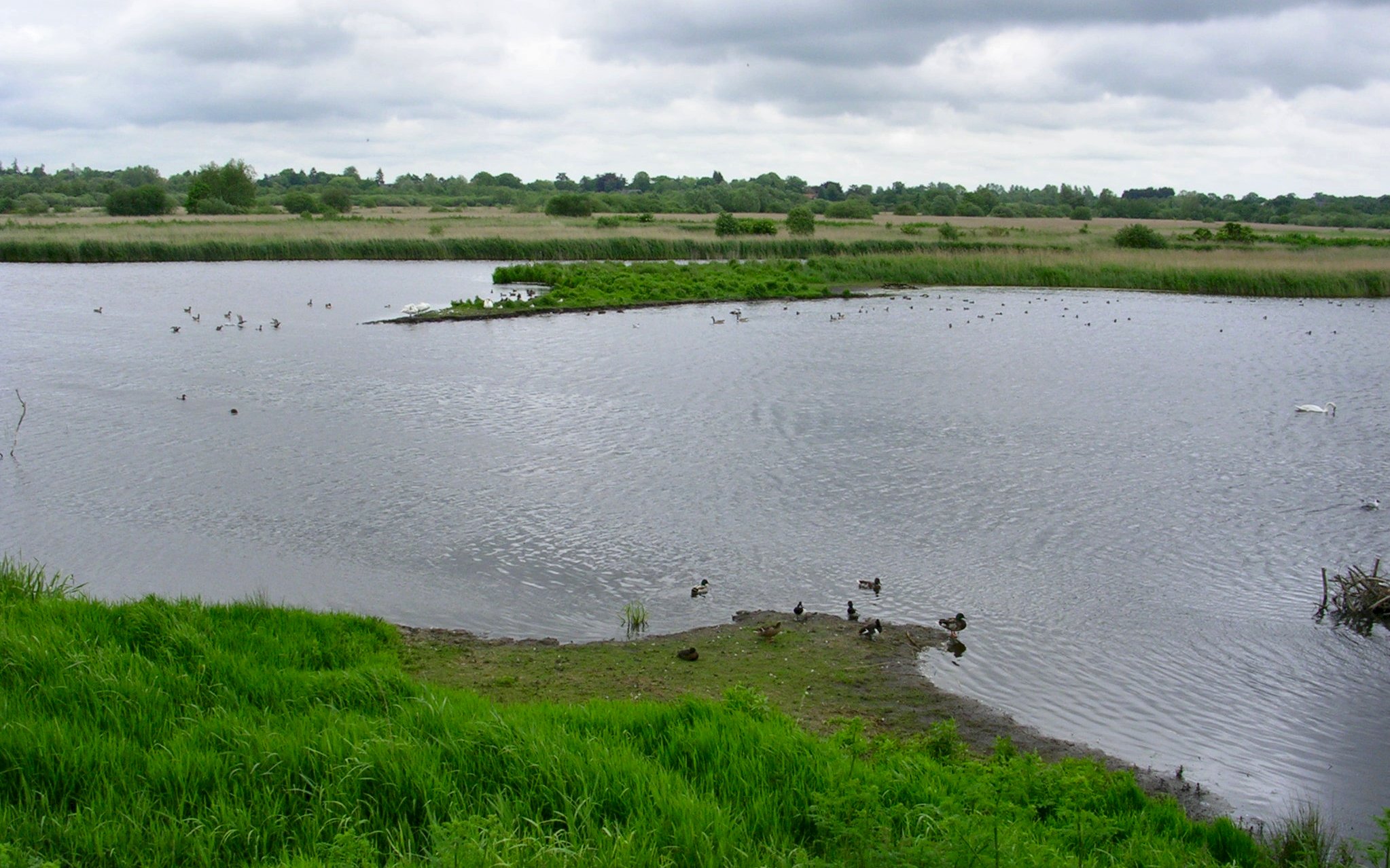 Strumpshaw Fen